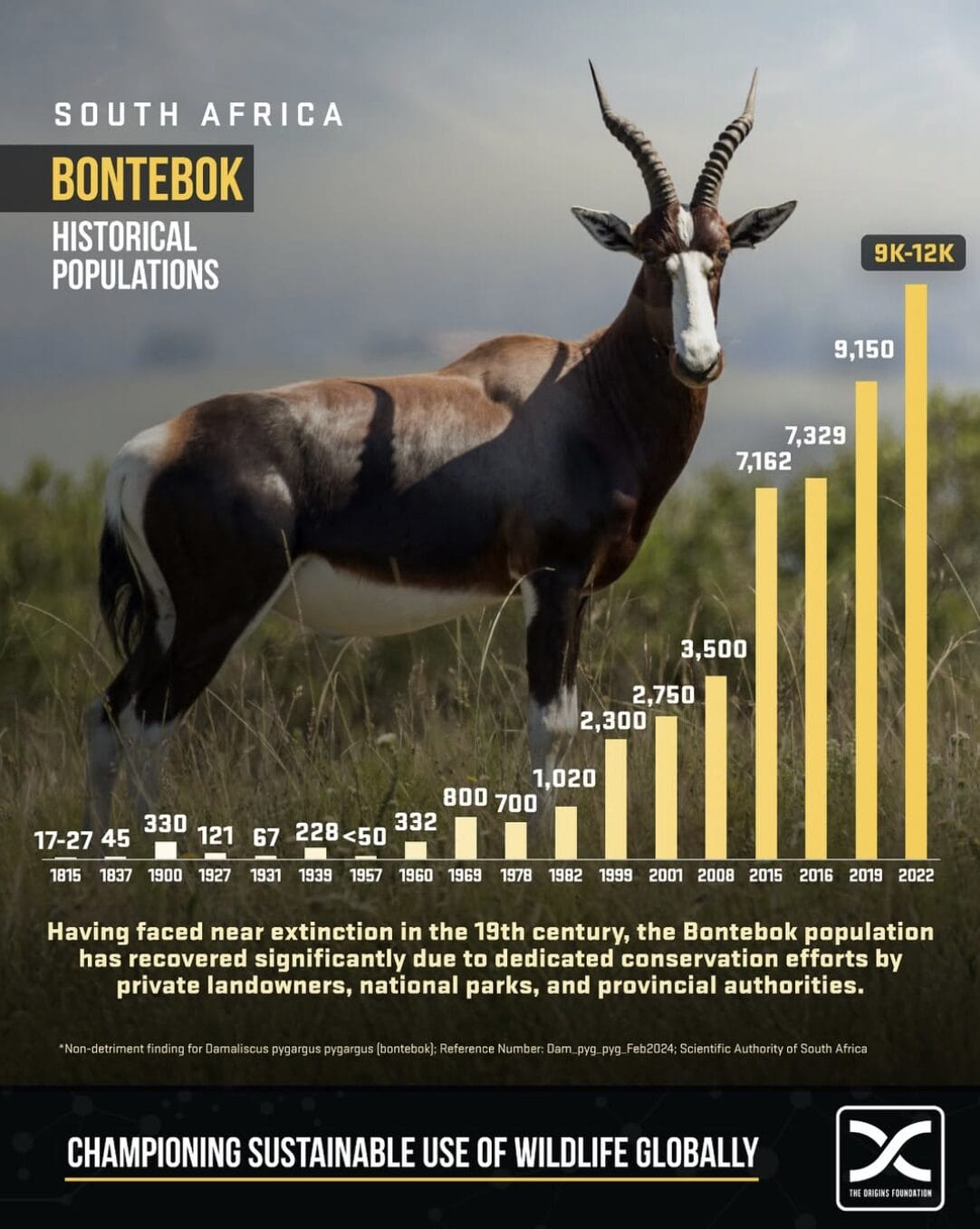 Bontebok: A South African Conservation Success Story - The Origins ...